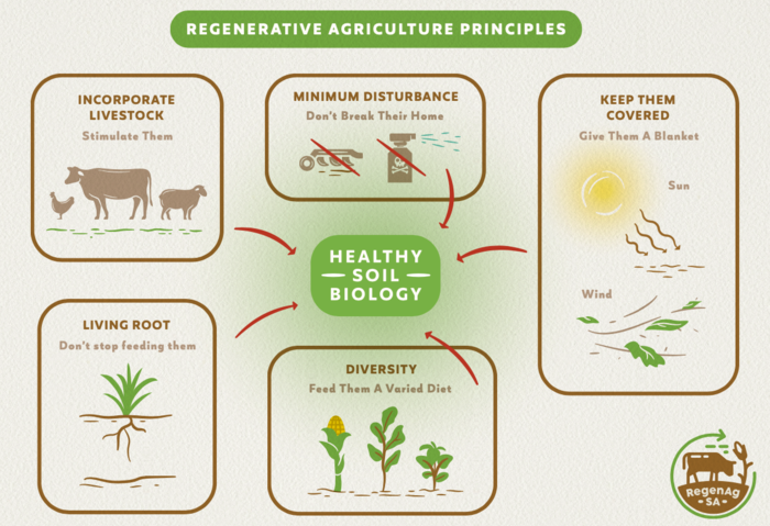 5 Soil Health Principles of Regenerative Agriculture :: Regenag-sa